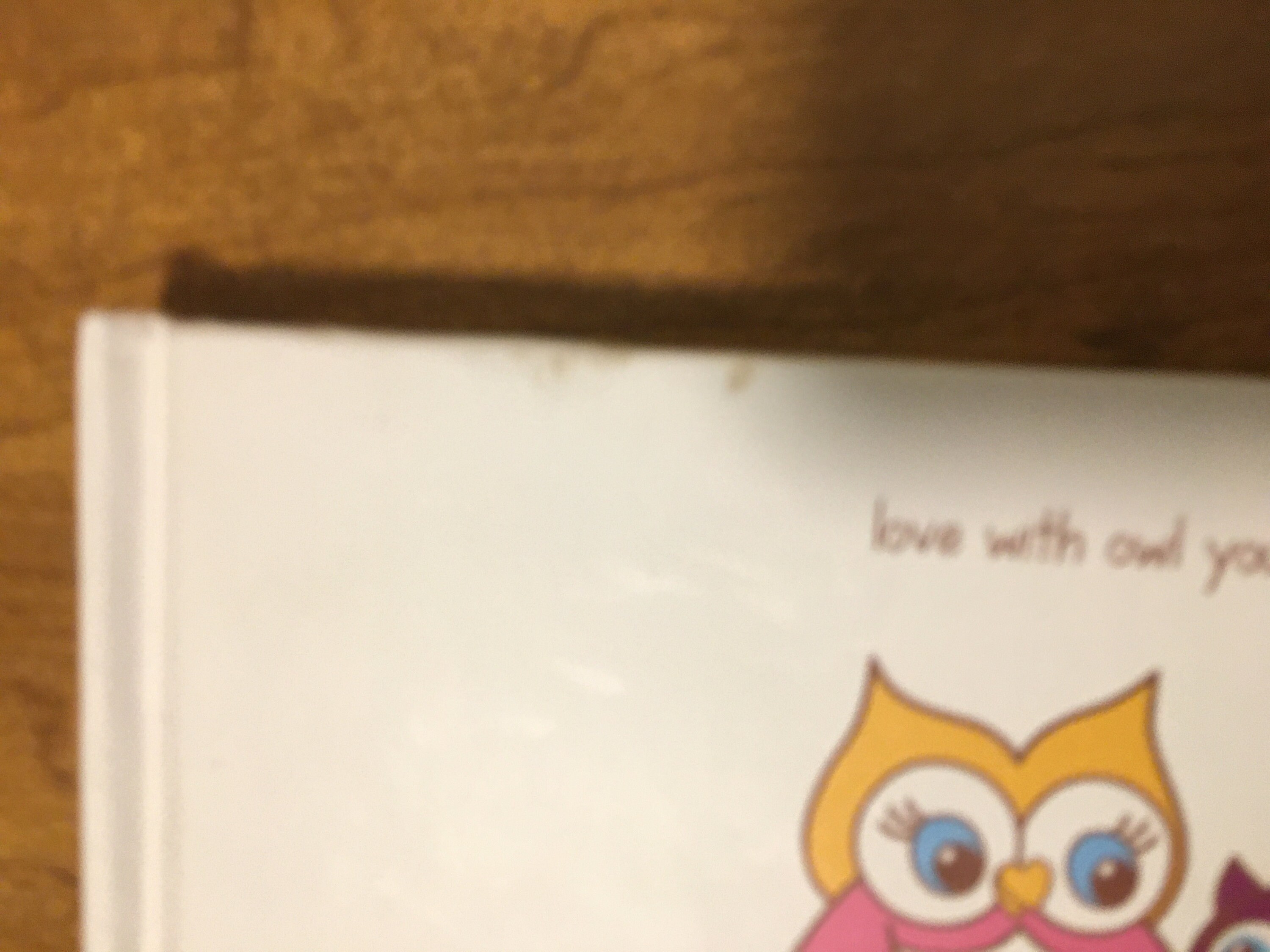 Cute Kid's Owl Journal Hard Cover With Extras & Bonus - Etsy