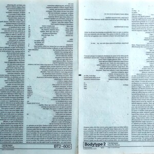 BODYTYPE Body Type (helvetica, Times, Plantin, Grotesque) Letraset ...
