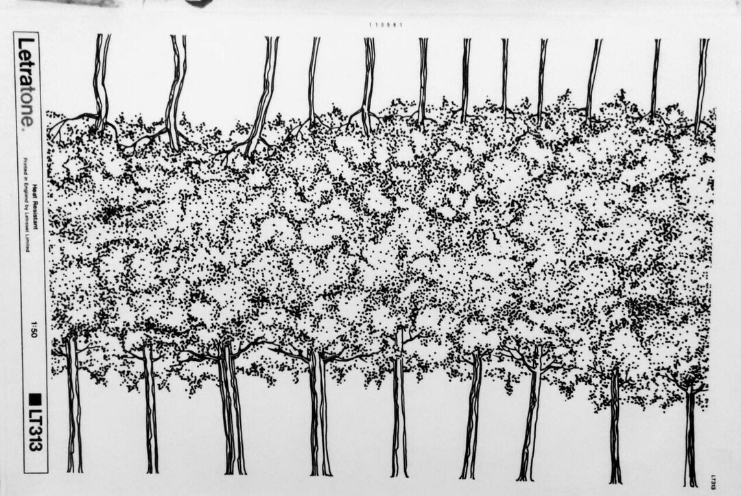 TREES / WOODS / ORCHARD Manga Screentone Letraset Adhesive - Etsy Australia