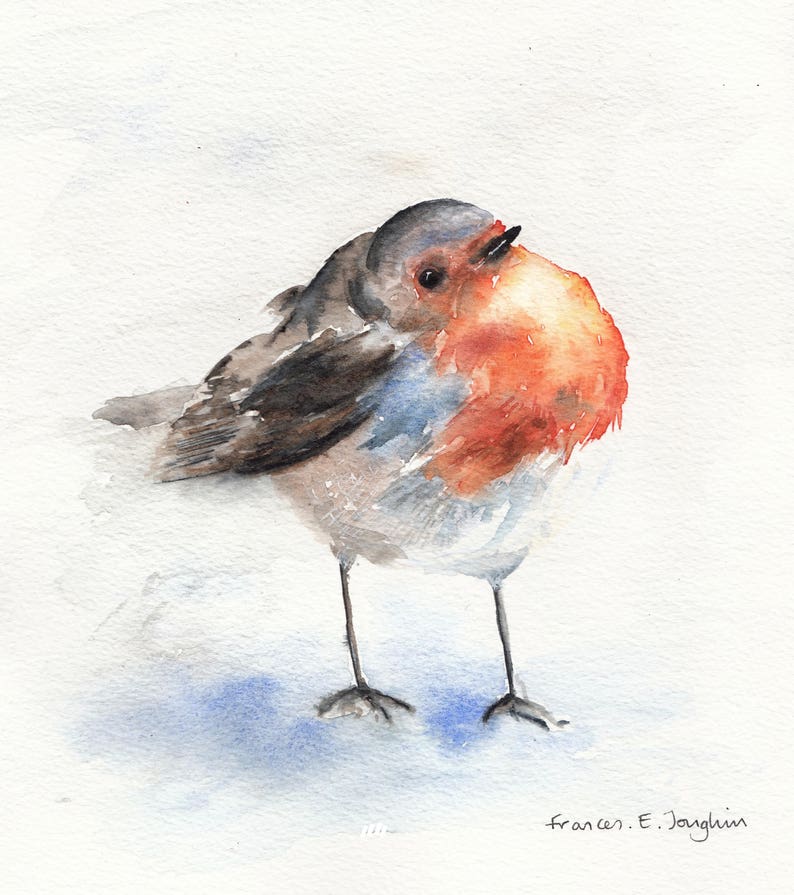 Little Fat Robin - Etsy