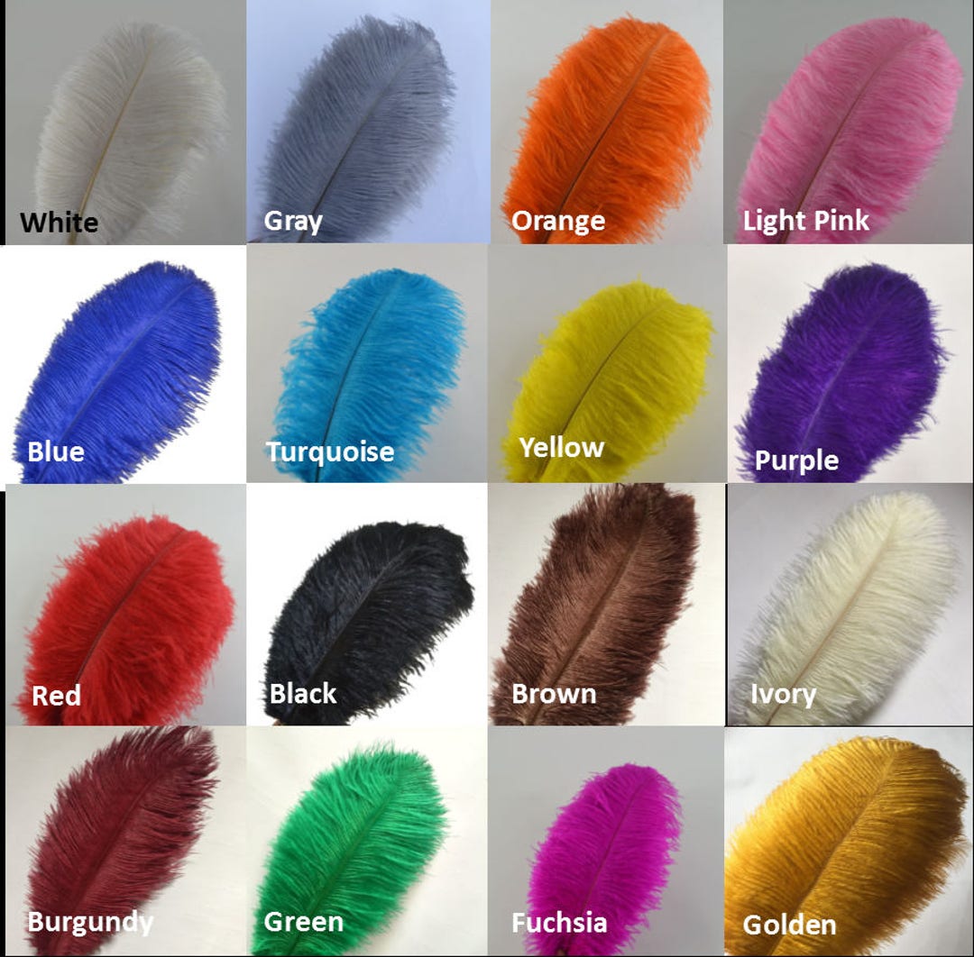 Feather Sample - Etsy