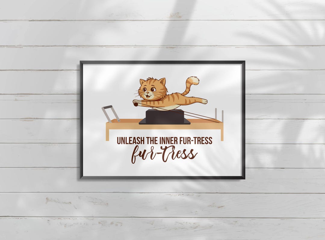 Pilates Cat Art Print | Kawaii Workout Poster (digital Download) - Etsy