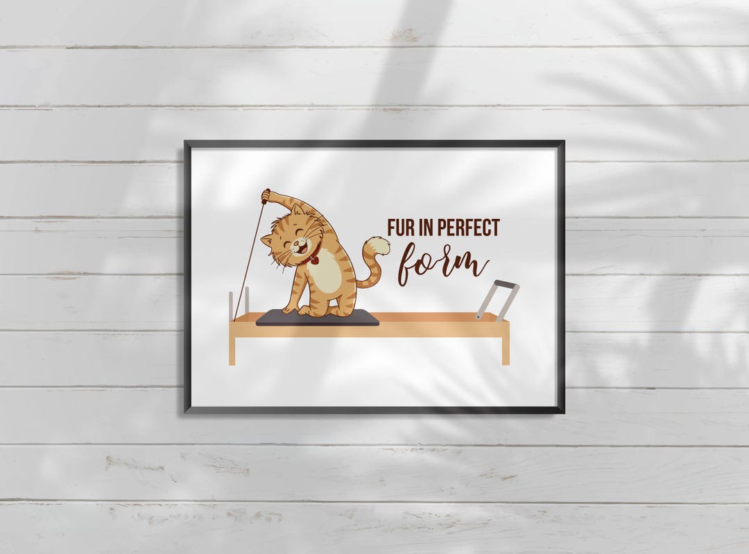 Pilates Cat Art Print | Kawaii Workout Poster (digital Download) - Etsy
