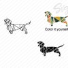 Zebra Svg and Png File - Etsy