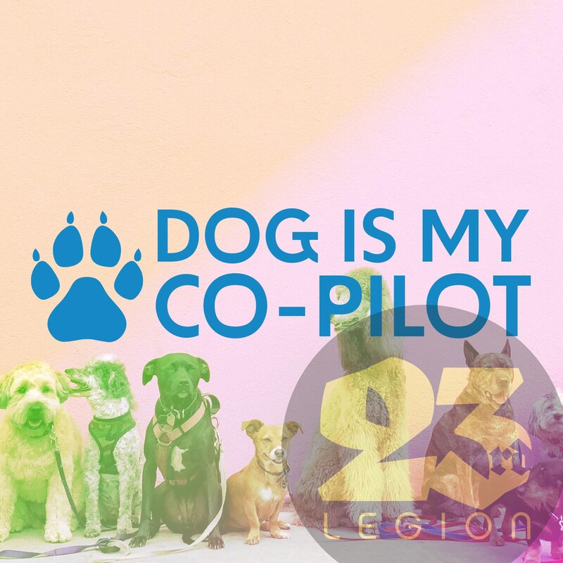 My Dog is My Copilot - Etsy