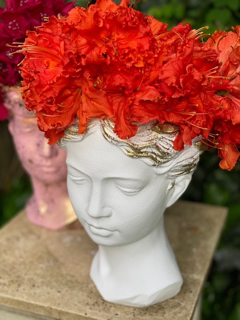 Goddess Grecian Head Face Bust Flower Vase / Pot Pink and Gold - Etsy UK