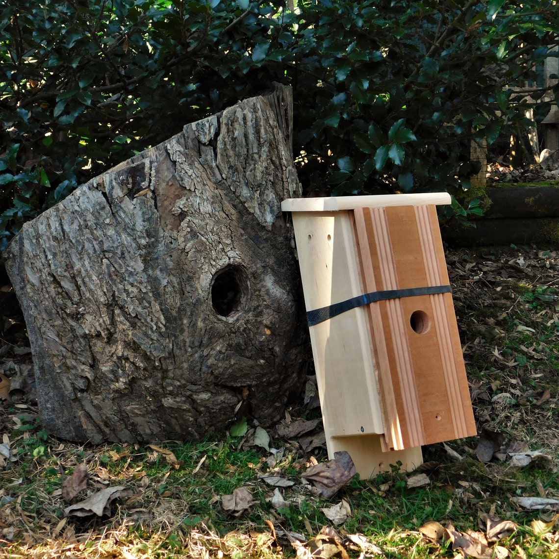 For a 'amazon Blink Camera' Oversized Bluebird House - Etsy