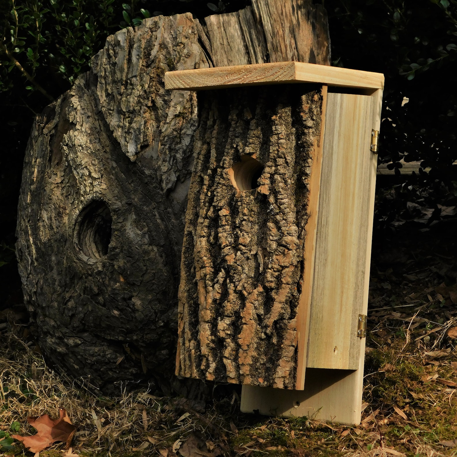 Larger Bark Faced Birdhouse / 'blink' Camera - Etsy