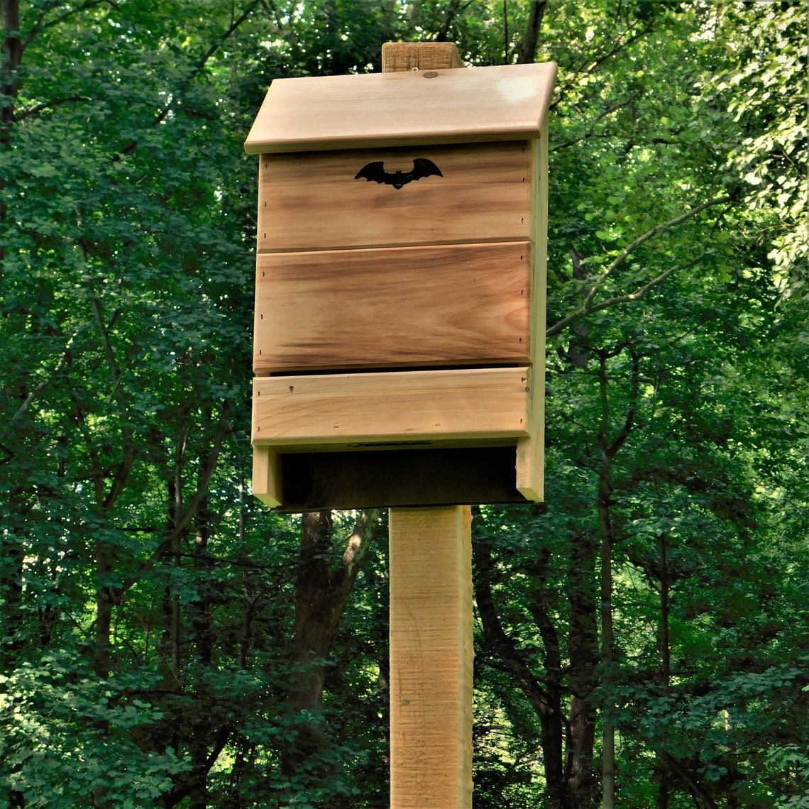 Single Chamber Bat House - With FREE Birdhouse Gift - Etsy