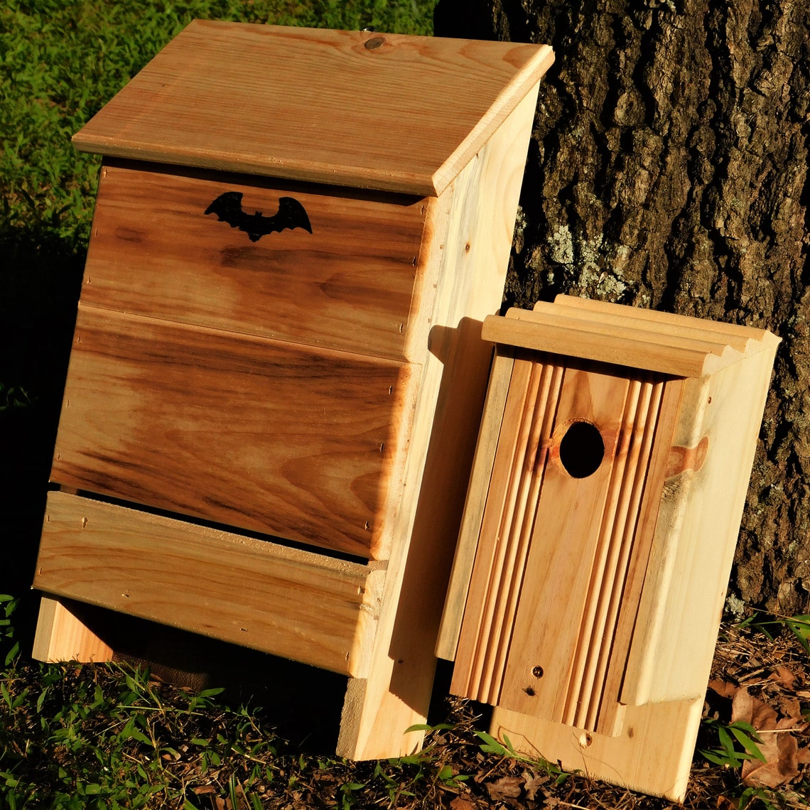 Single Chamber Bat House - With FREE Birdhouse Gift - Etsy