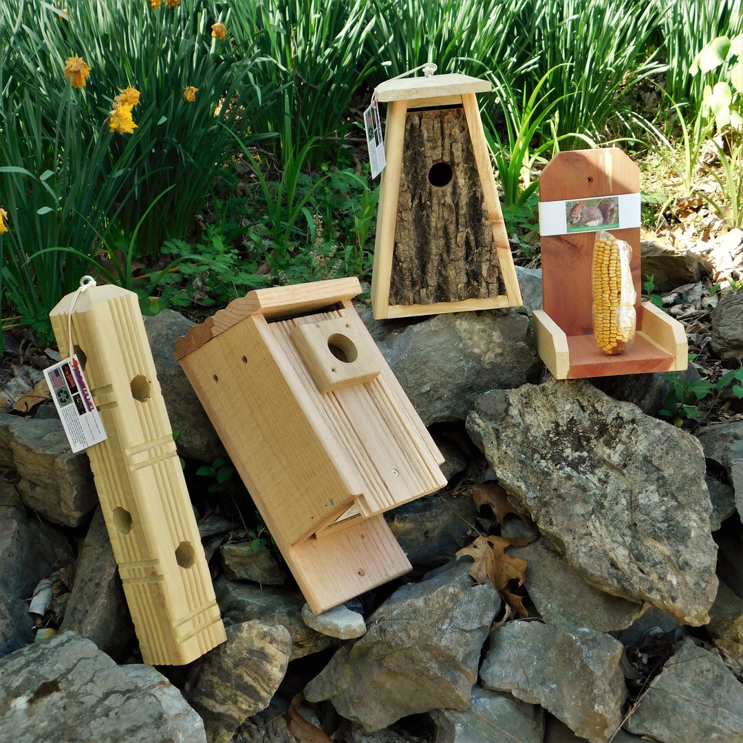 Solid Oak Bluebird House - Multi-pack - FREE Gift - Etsy