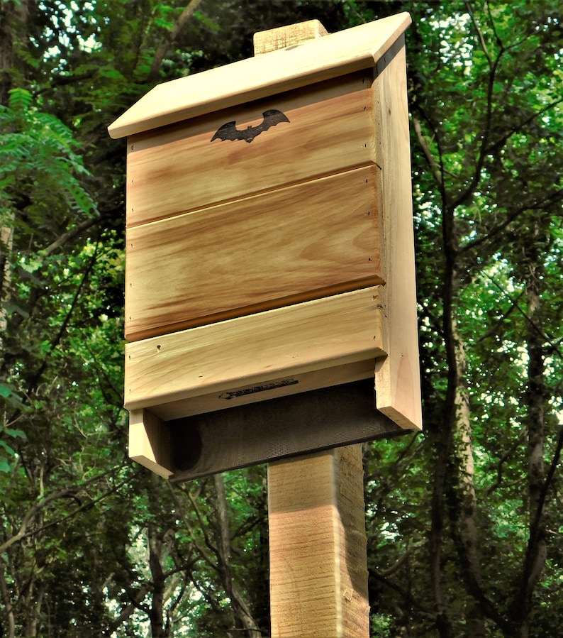 Single Chamber Bat House - With FREE Birdhouse Gift - Etsy