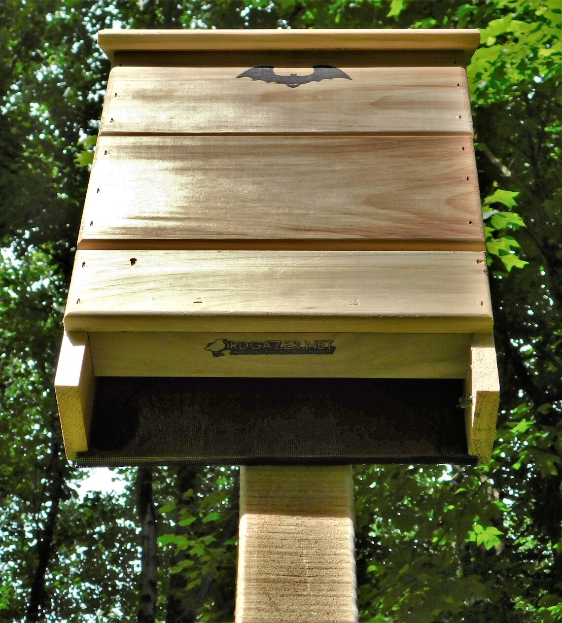 Single Chamber Bat House - With FREE Birdhouse Gift - Etsy