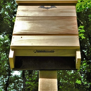 Single Chamber Bat House - With FREE Birdhouse Gift - Etsy