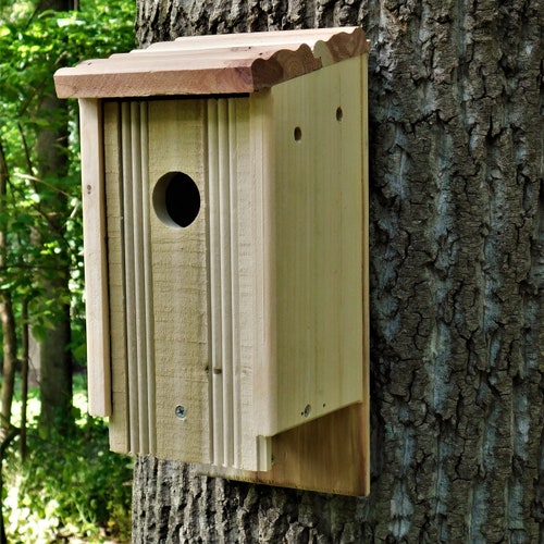 Cedar Bluebird House With Decorative Father Time Carved Face - Etsy