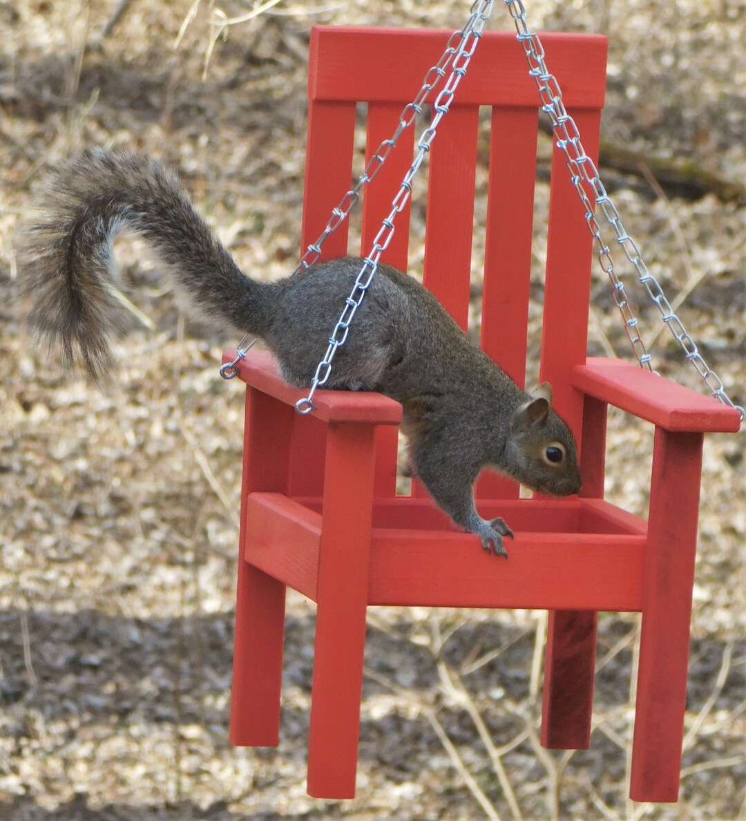 High Back Chair Feeder-free Gift - Etsy