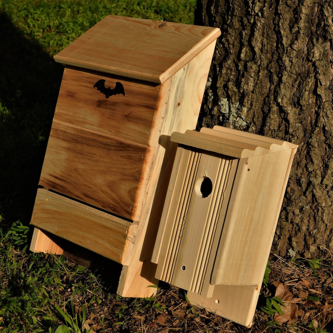 Single Chamber Bat House - With FREE Birdhouse Gift - Etsy