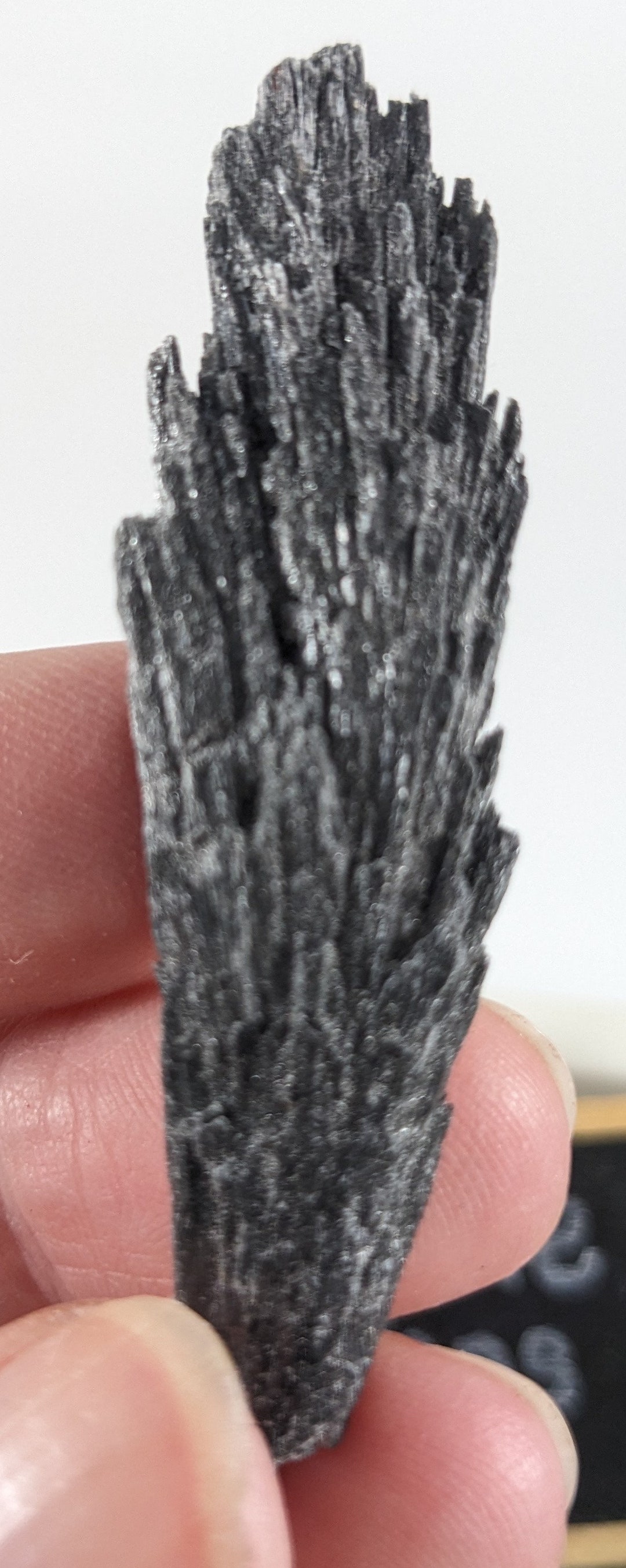 Black Kyanite Fan Blades - Natural Witchy Protection Crystals, Reiki ...