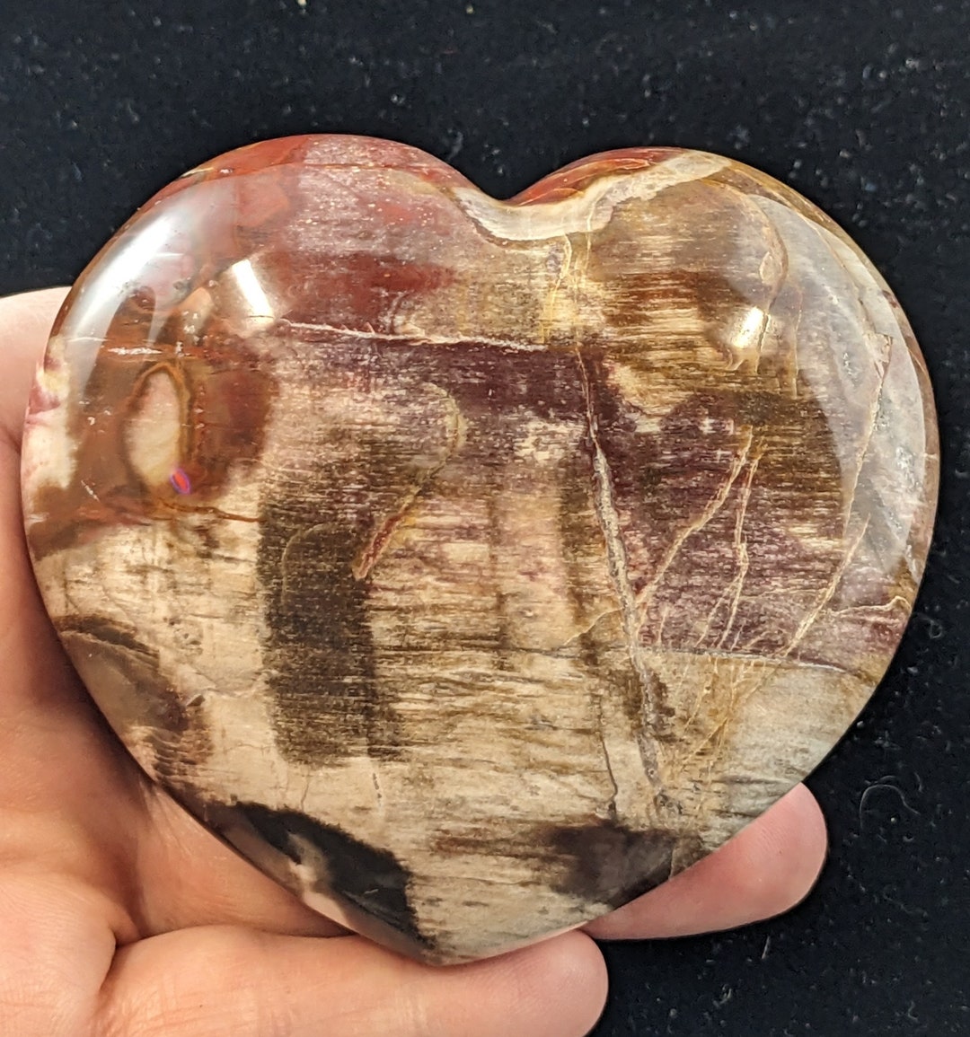 Petrified Wood Heart, Polished Petrified Wood Heart, Polished Petrified ...