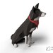 Border Collie Papercraft, DIY Home Decor, Paper Animal Sculpture ...