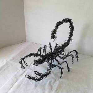 The Emperor Scorpion - Etsy