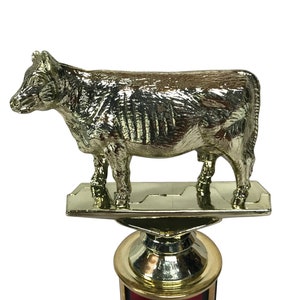 Trophy BBQ 8" Tall BBQ Cookout, Brisket, Angus, Cow Award Trophy Free ...
