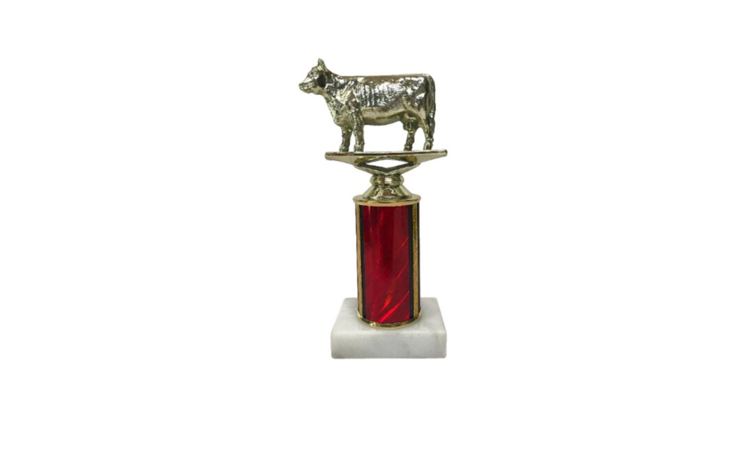 Trophy BBQ 8" Tall BBQ Cookout, Brisket, Angus, Cow Award Trophy Free ...