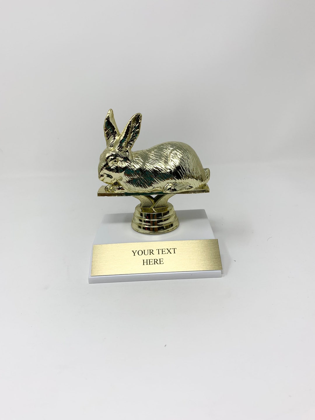 Rabbit Award Trophy Free Customization 5" Tall Bunny Award - Etsy