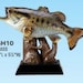 Fishing Award Trophy Resin BASS Figure in Color With Your Custom Text ...