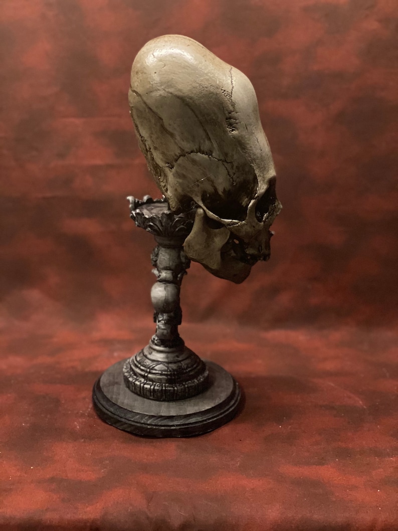 Real Human Peruvian Elongated Skull Replica Painted by Zane Wylie - Etsy