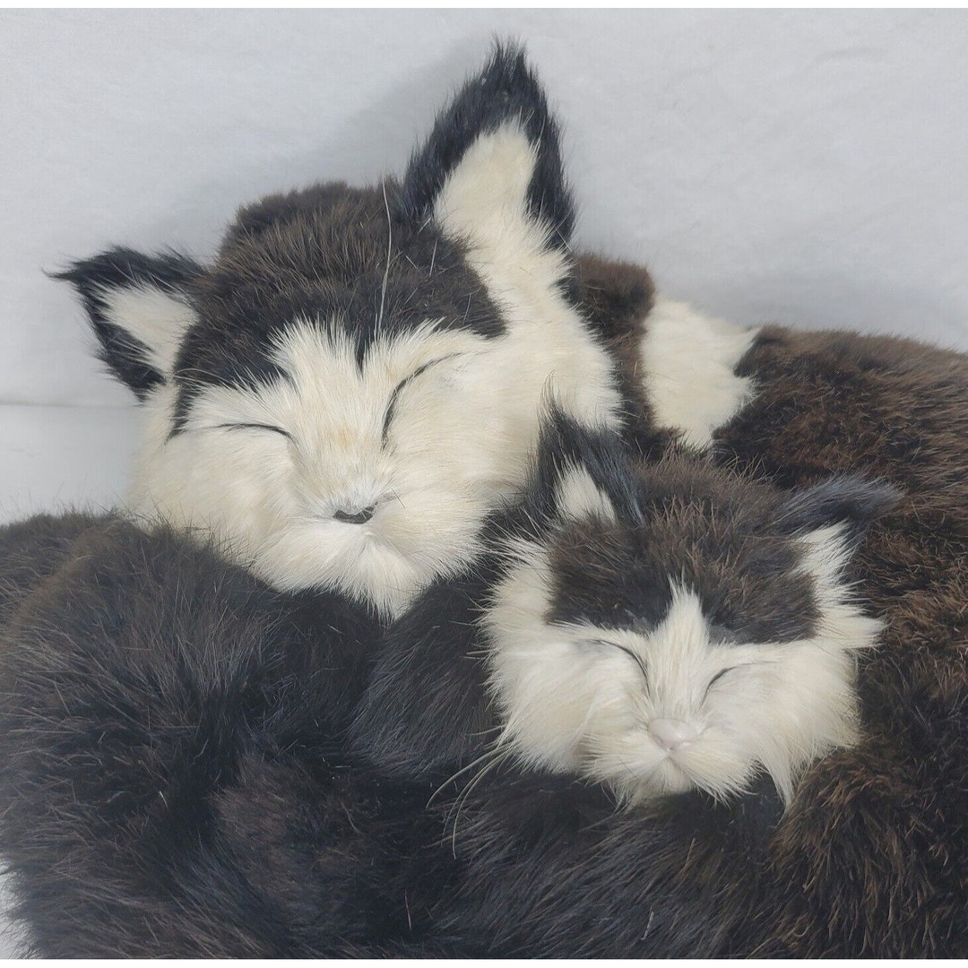 Vintage Realistic Sleeping Cat Kitten Black White Rabbit Fur Display ...