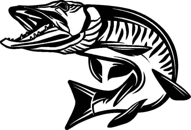 Musky Vinyl Decal Sticker [9" W X 9" H] Muskie Fishing Sticker Northern ...