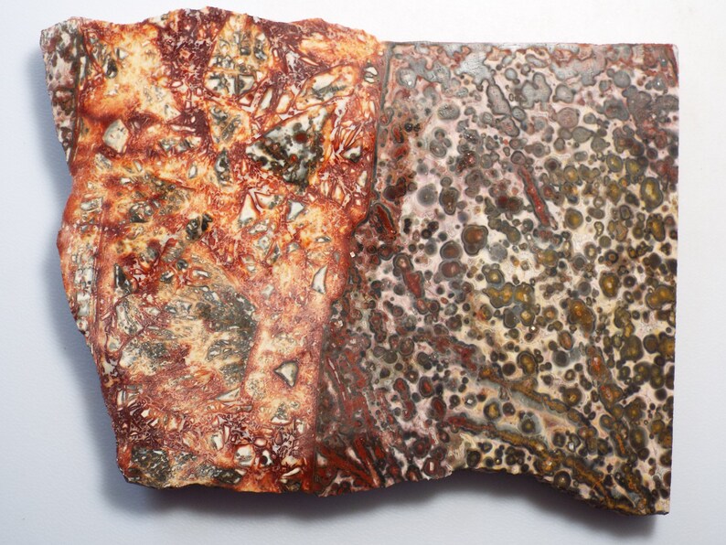 LEOPARD SKIN jaguar Stone Jasper Slab for Cabbing Lapidary - Etsy