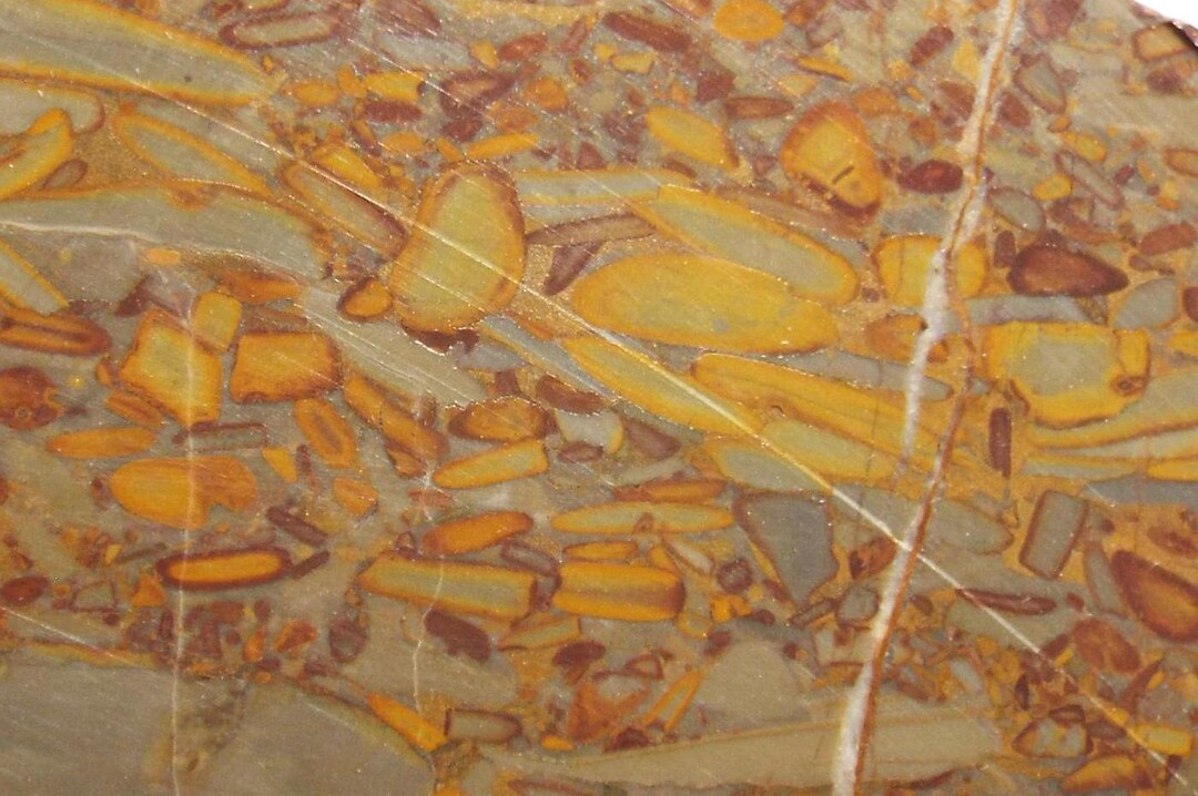 Bamboo (bamboo Leaf) Jasper Slab for Cabbing, Lapidary, Display - Etsy