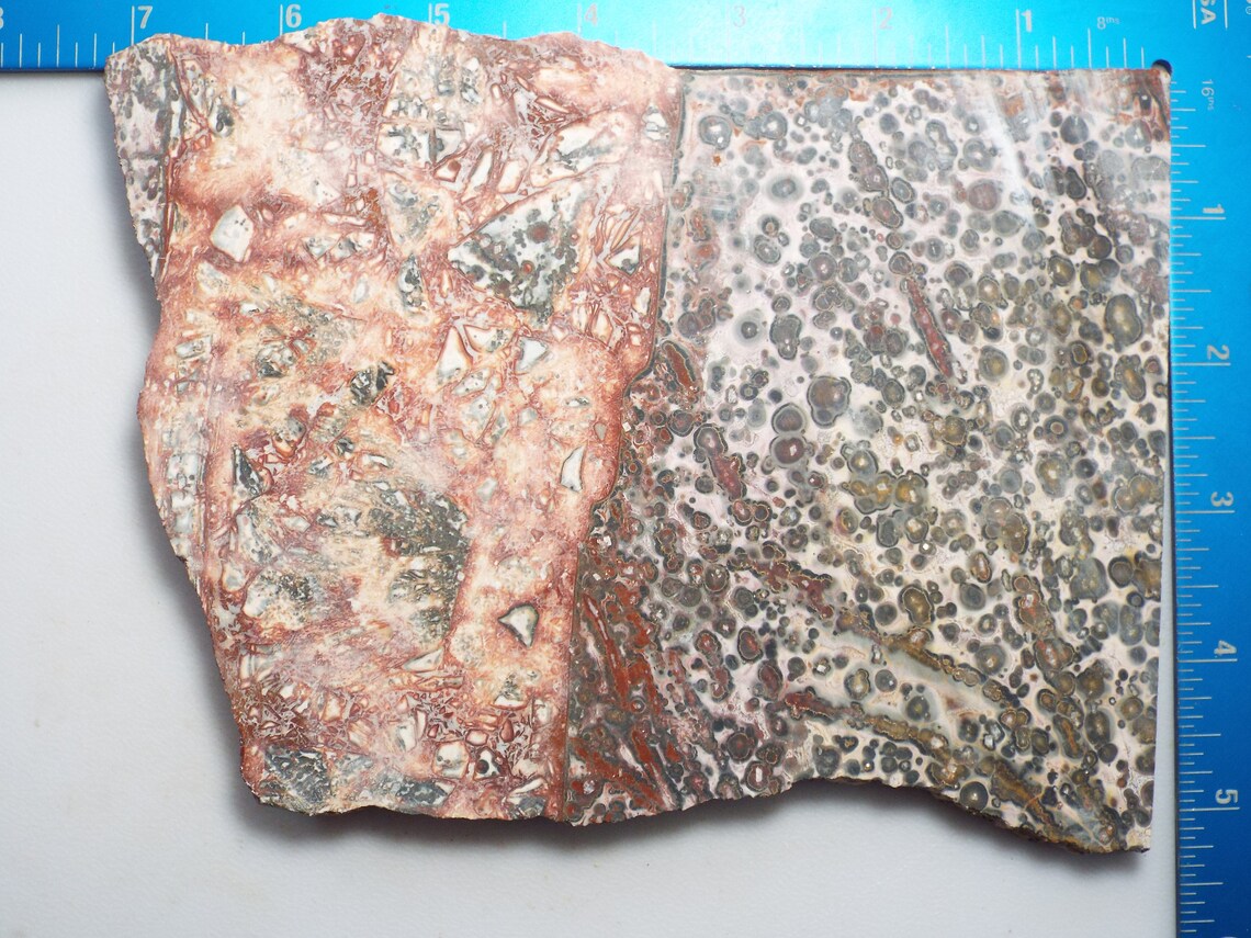 LEOPARD SKIN jaguar Stone Jasper Slab for Cabbing Lapidary - Etsy