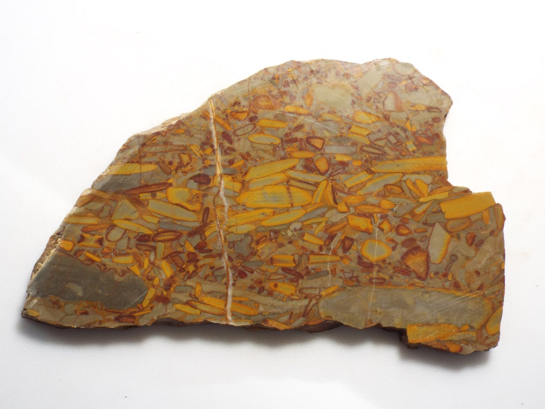 Bamboo (bamboo Leaf) Jasper Slab for Cabbing, Lapidary, Display - Etsy