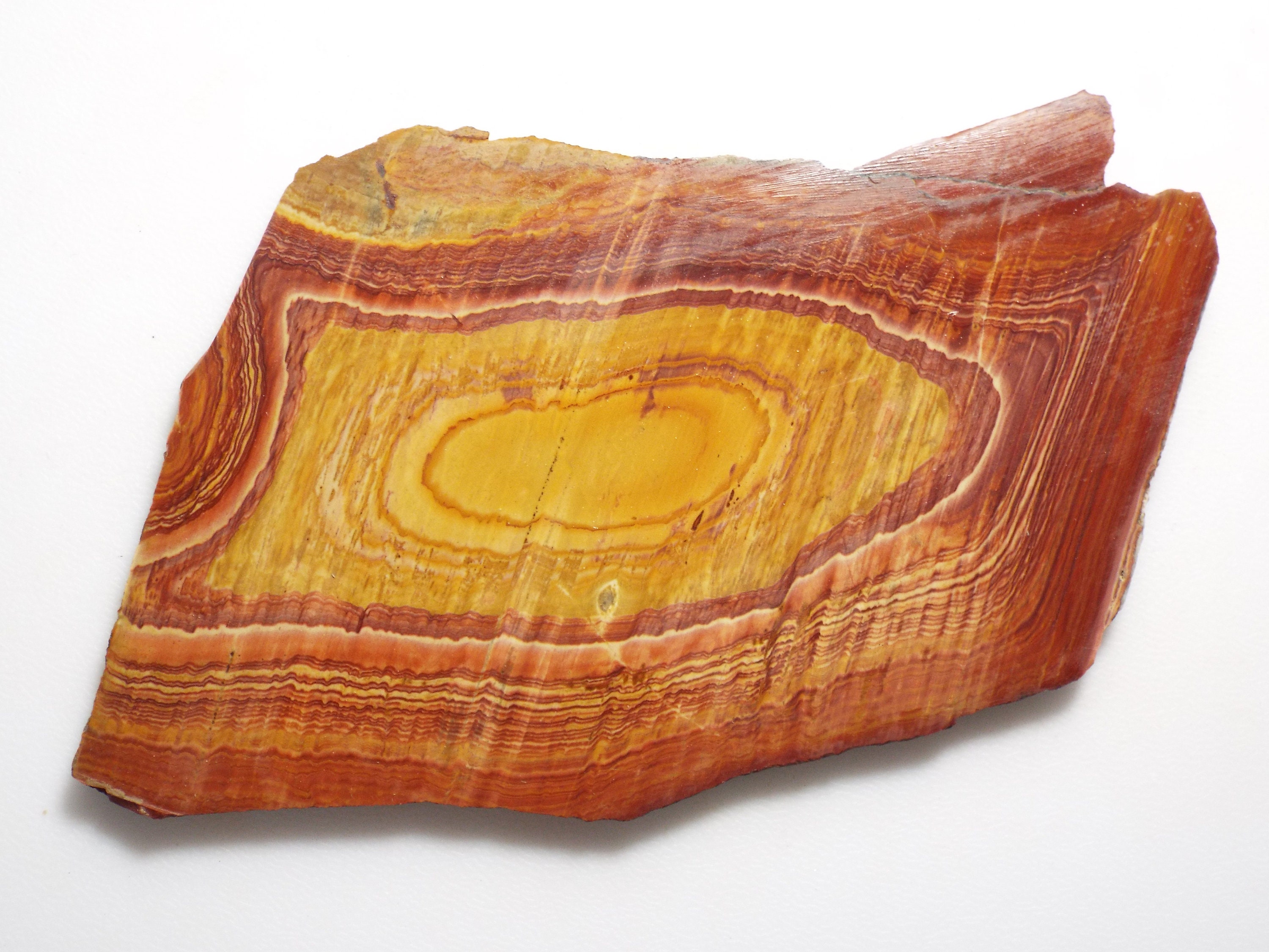 Royal Jasper From Nevada Picture Jasper Slab for Lapidary - Etsy