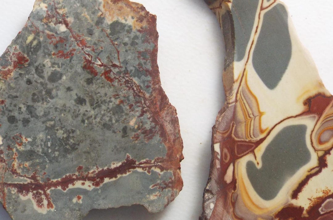 Sonoran Flower Dendritic Jasper Slabs for Display, Lapidary, Cabbing - Etsy