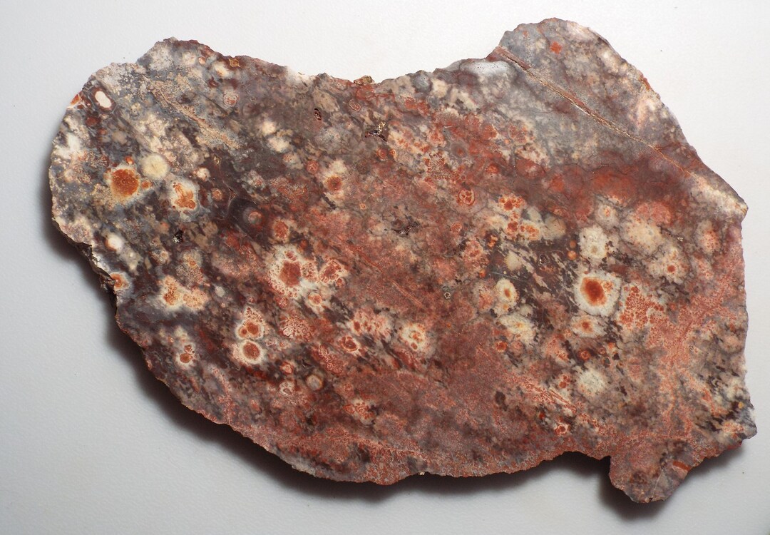Bird's Eye Rhyolite Jasper Slab for Cabbing/display/lapidary - Etsy