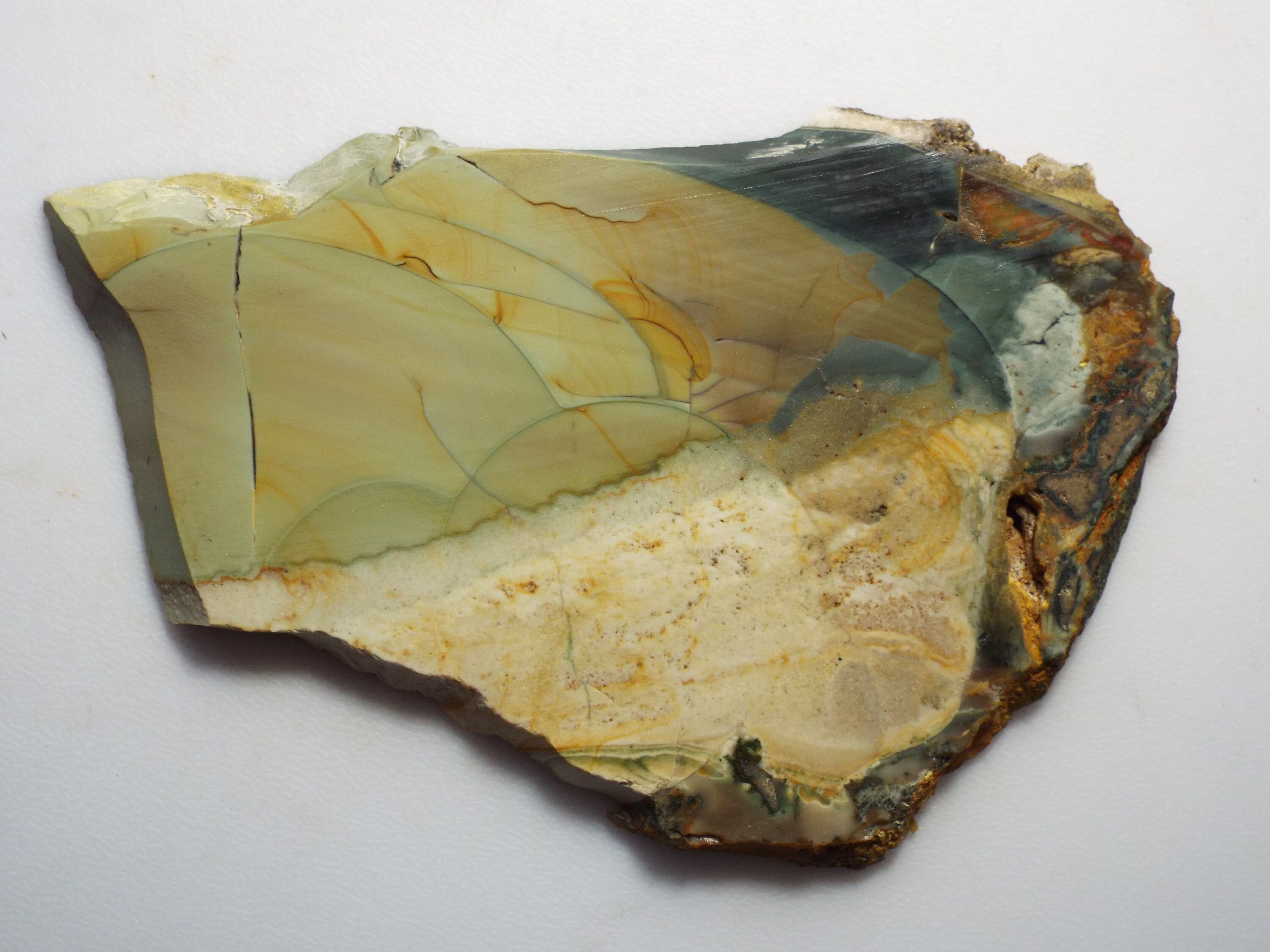 Blue Mountain Picture Jasper Slab for Display, Lapidary, Cabbing - Etsy