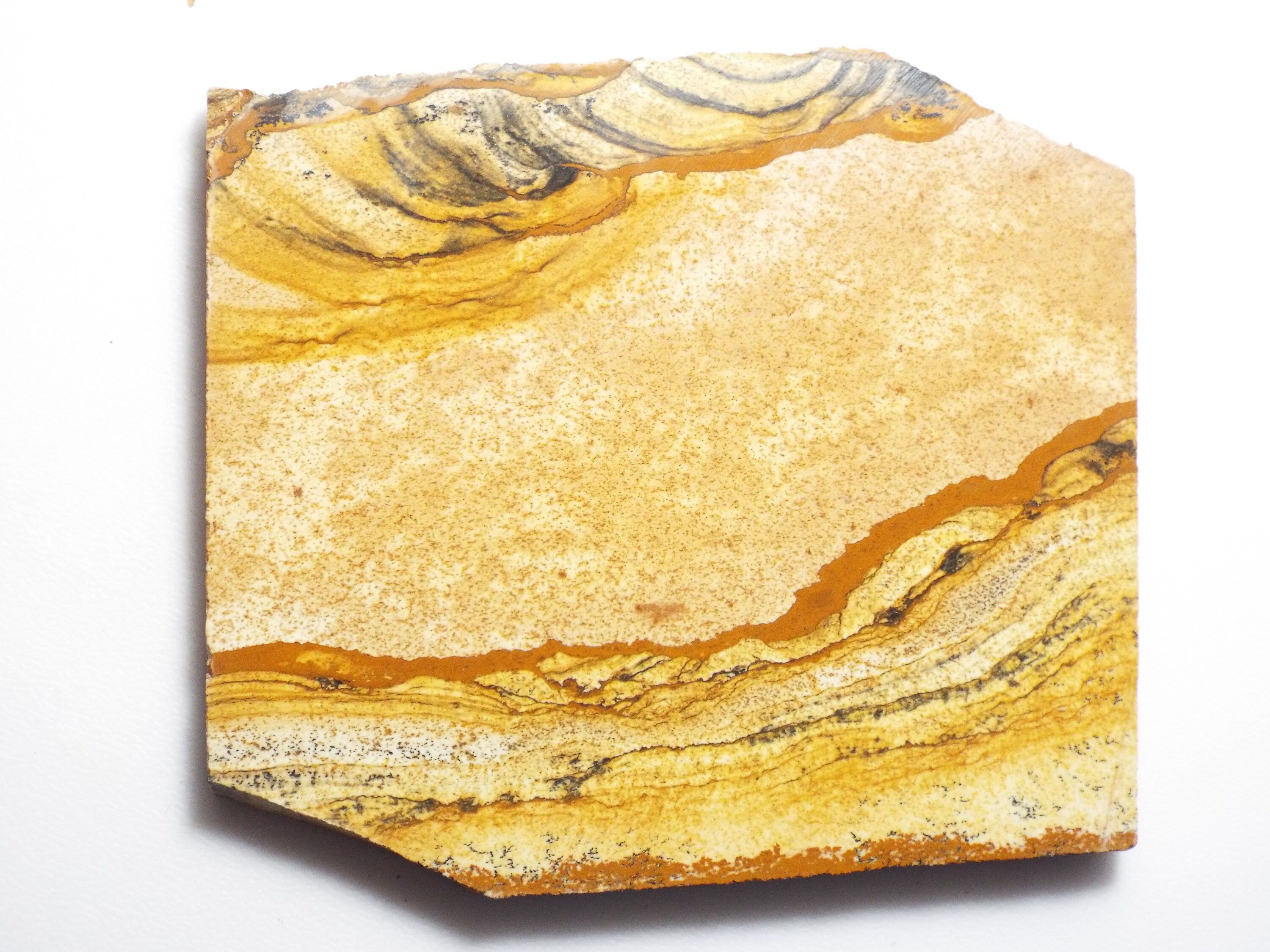 African Queen Picture Jasper Slab for Lapidary Display - Etsy