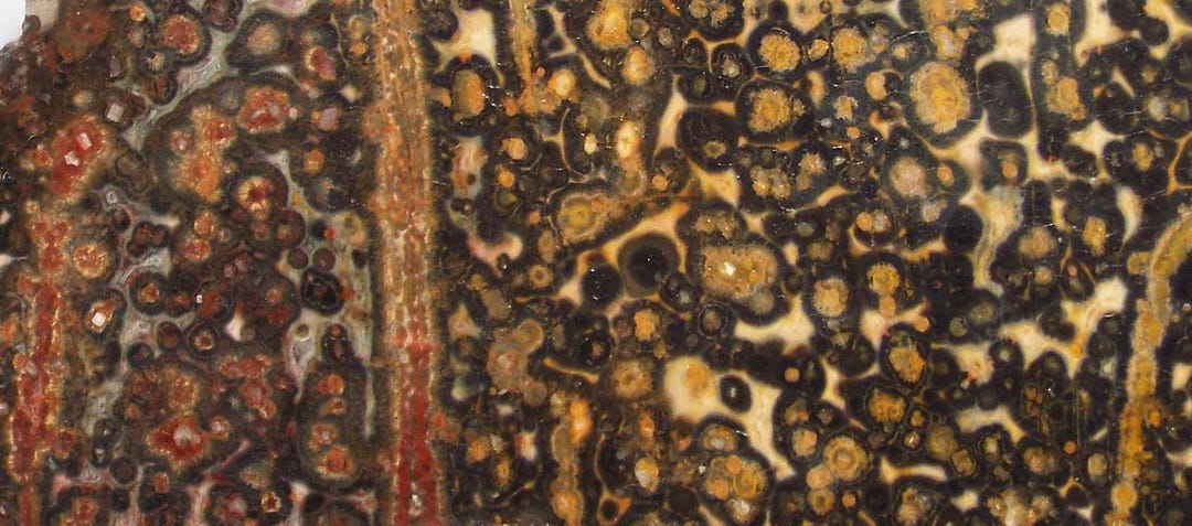 Leopard Skin jaguar Stone Jasper Slab for Cabbing, Lapidary, Display - Etsy