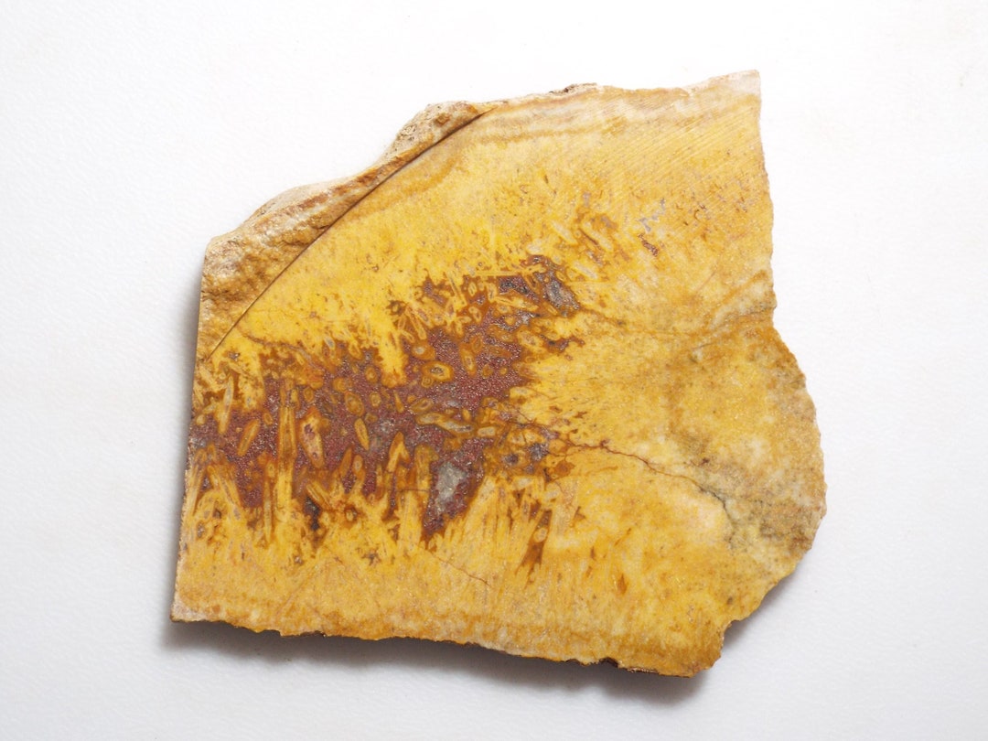 Calico Stick Onyx Jasper Slab for Display, Lapidary, Rough - Etsy