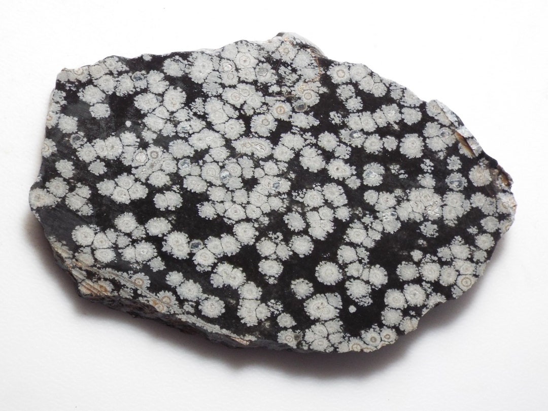 Snowflake Babyflake Obsidian Slab for Lapidary Display - Etsy
