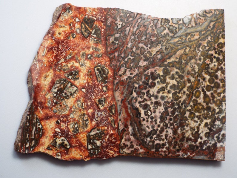 LEOPARD SKIN jaguar Stone Jasper Slab for Cabbing Lapidary - Etsy