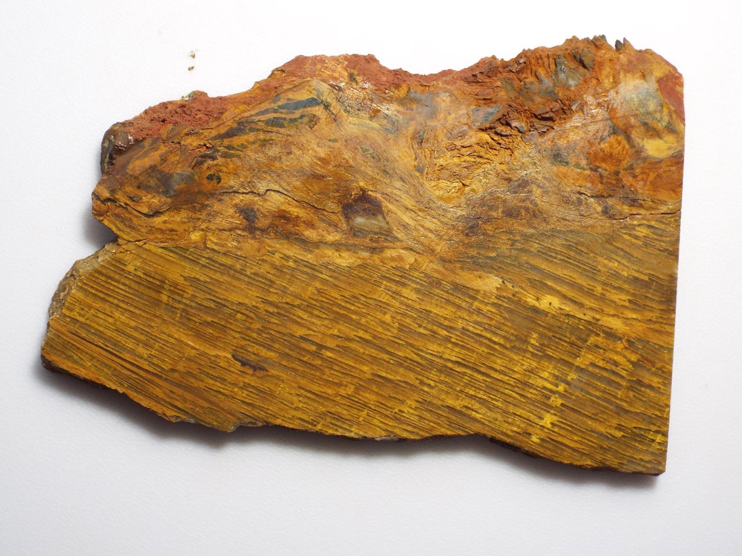 Nellite Lion Skin Slab Lapidary Slab for Cabbing Display - Etsy