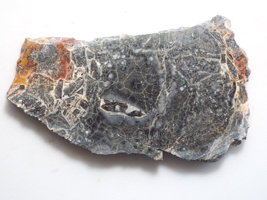 Galaxy Rhyolite Rough Lapidary Slab for Cabbing, Display, Lapidary - Etsy