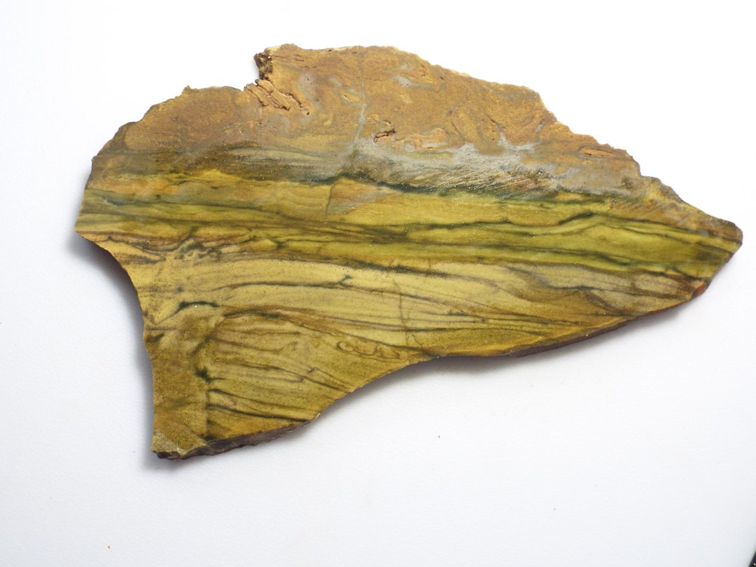 Lizard Skin, Lizard Stone Jasper Slab From Arizona for Lapidary ...