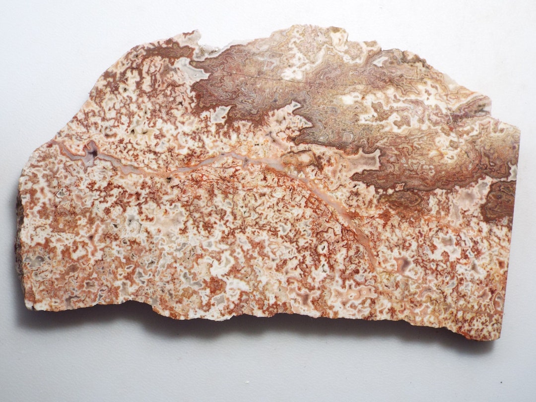 Rosetta Jasper Slab for Lapidary, Display, Cabbing, Rough - Etsy