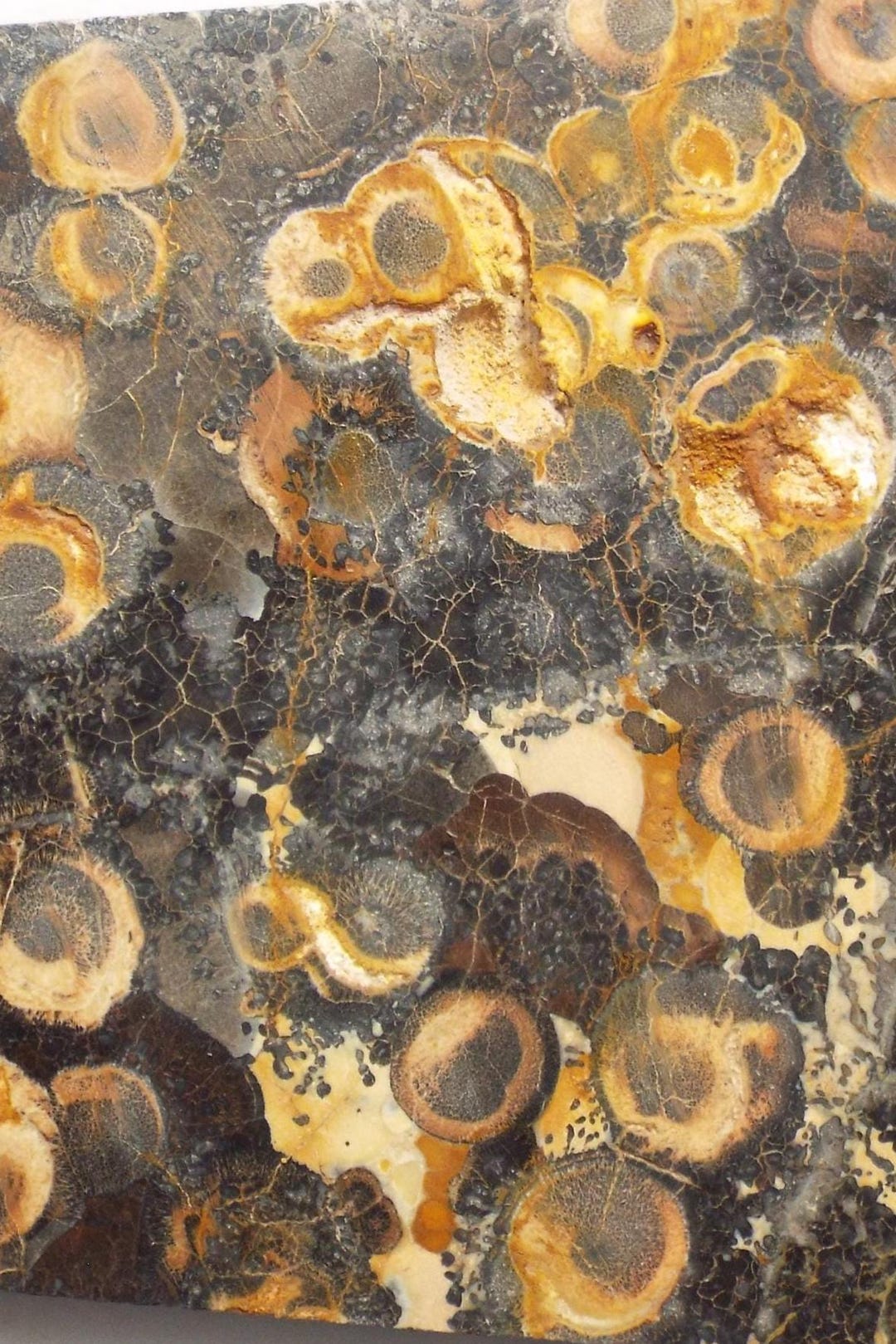 Galaxy Rhyolite Rough Lapidary Slab for Cabbing, Display, Lapidary - Etsy